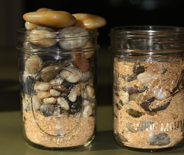 Prioritizing Prioritization - Greensboro, NC - Cary Consulting